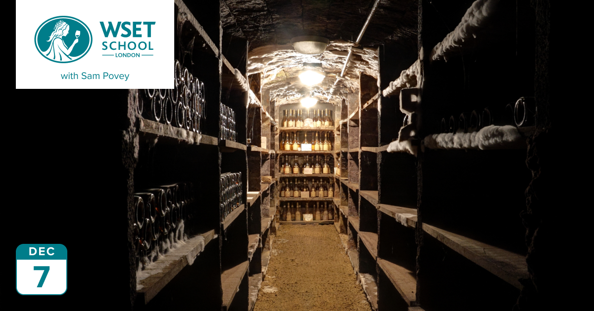 Cellar raiders | Wine tasting at WSET School London | Wine & Spirit ...