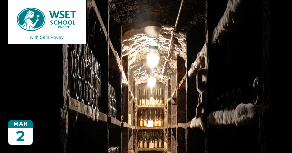 Cellar raiders | Wine tasting at WSET School London | Wine & Spirit ...