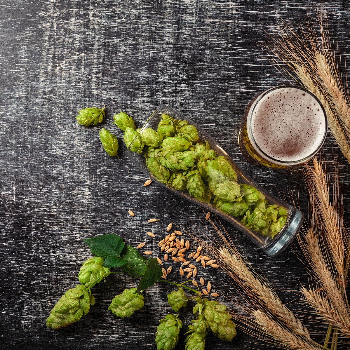 A beginners guide to beer | Wine & Spirit Education Trust