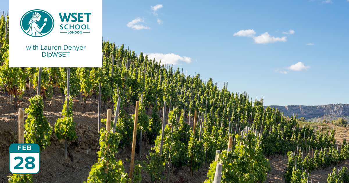 The Spain series part 3: Catalunya | WSET School London | Wine & Spirit ...