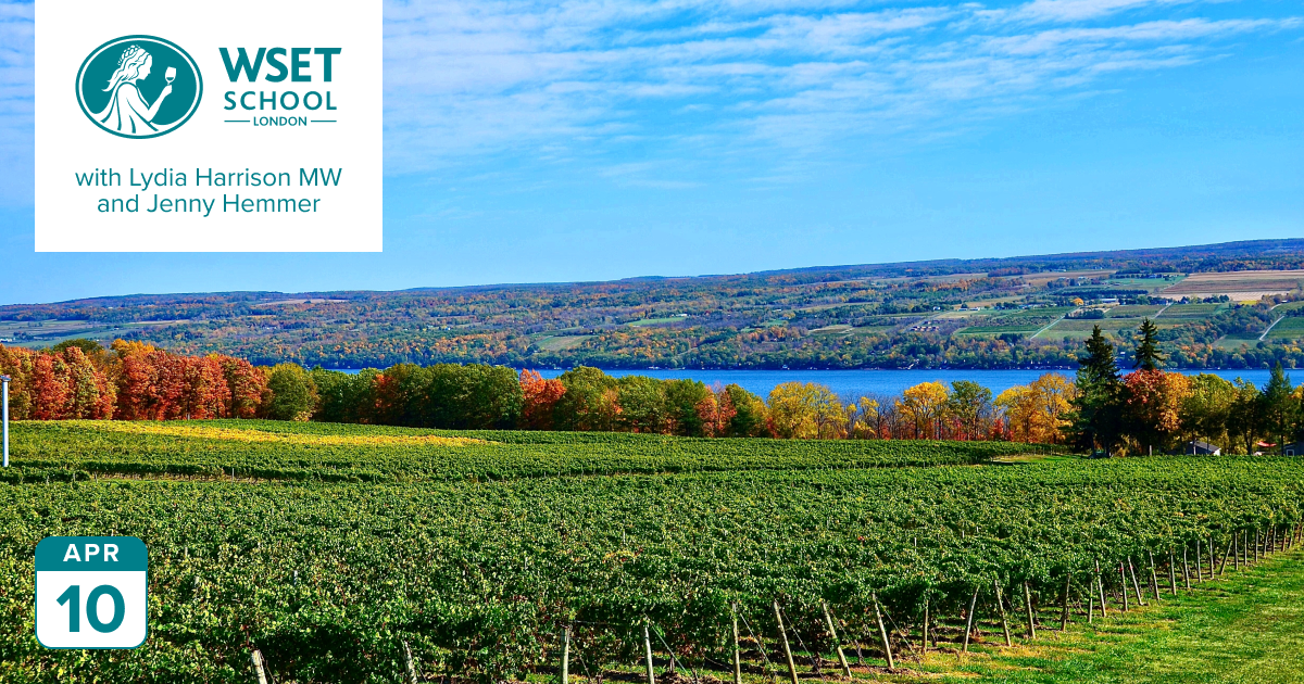 GuildSomm International X WSET School London: wines of the USA | Wine ...