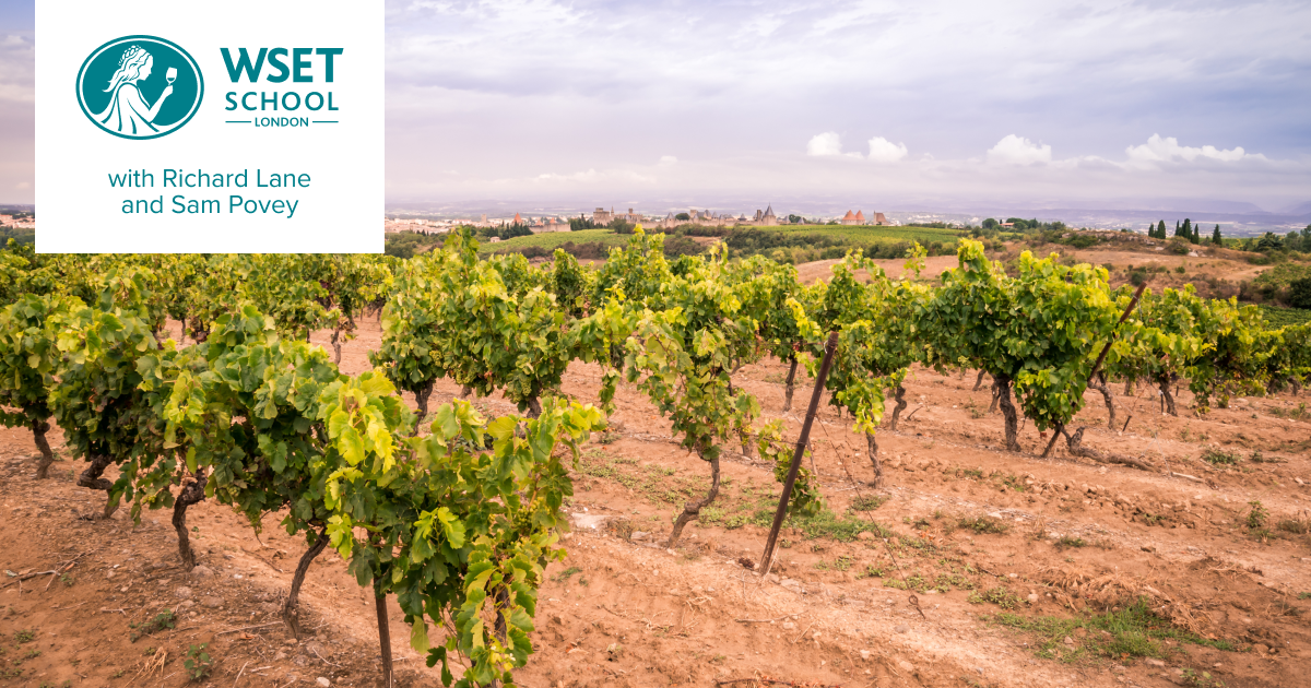 Explore Languedoc wines | Wine tasting at WSET School London | Wine ...