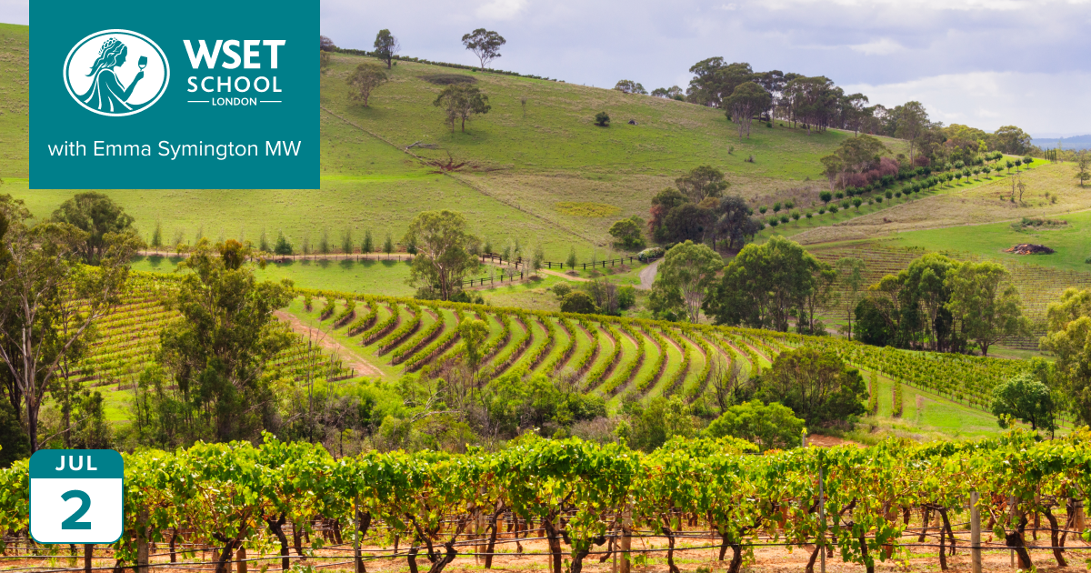 Discover Australia: Hunter Valley, Orange and Canberra District with ...
