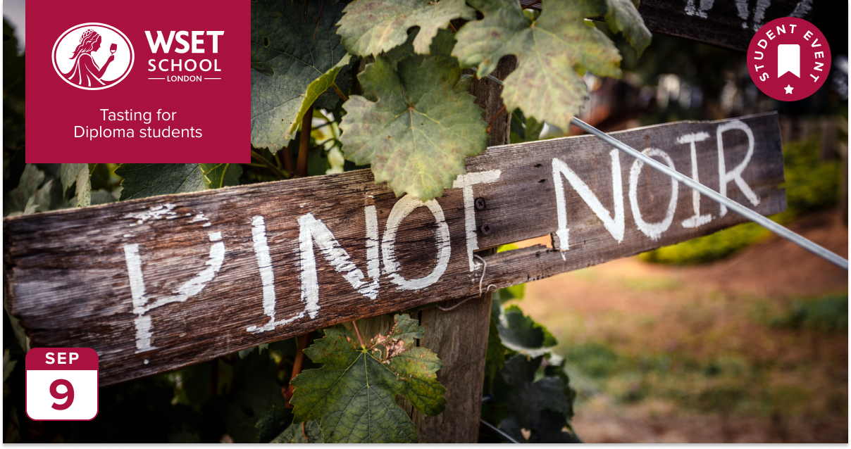 Variety in focus: Pinot Noir (Diploma students only) | WSET School ...
