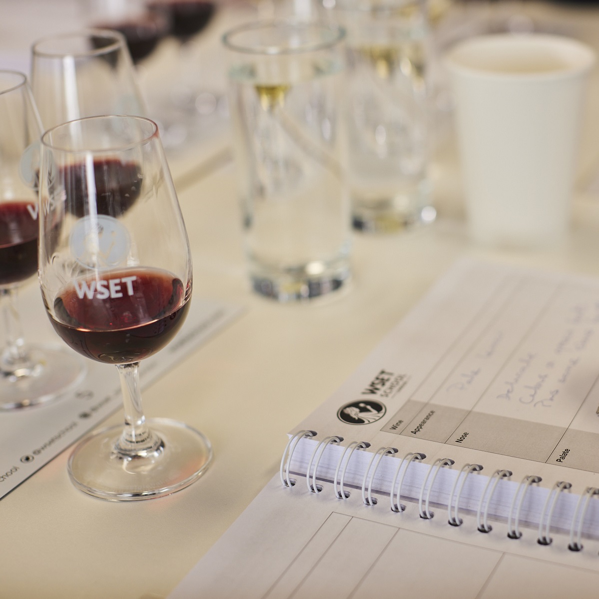 Rise in number of Diploma students as WSET celebrates 55th anniversary ...