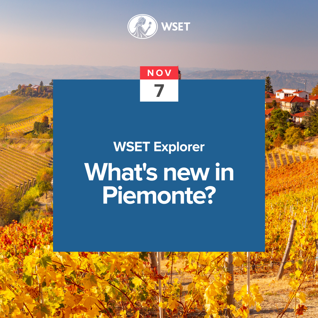 WSET Explorer - What's new in Piemonte? | Wine & Spirit Education Trust