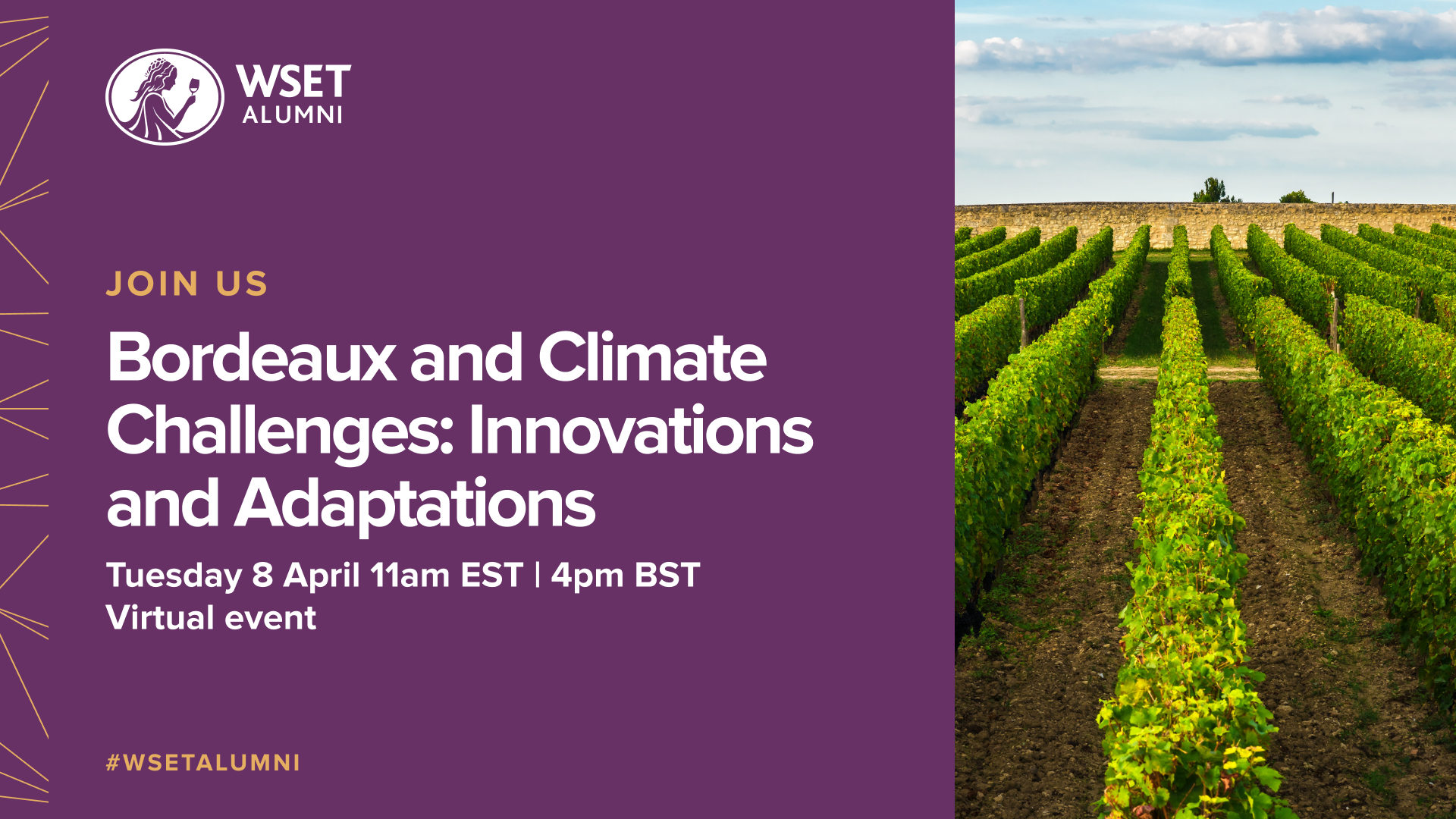 WSET Alumni - Bordeaux and Climate Challenges: Innovations and ...