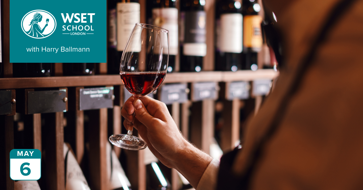 What makes a cult wine? | Wine tasting at WSET School London | Wine ...