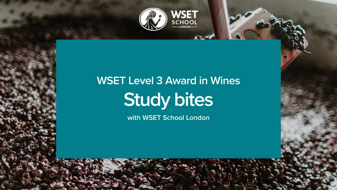 Study bites: WSET Level 3 Award in Wines | Video series | Wine & Spirit ...