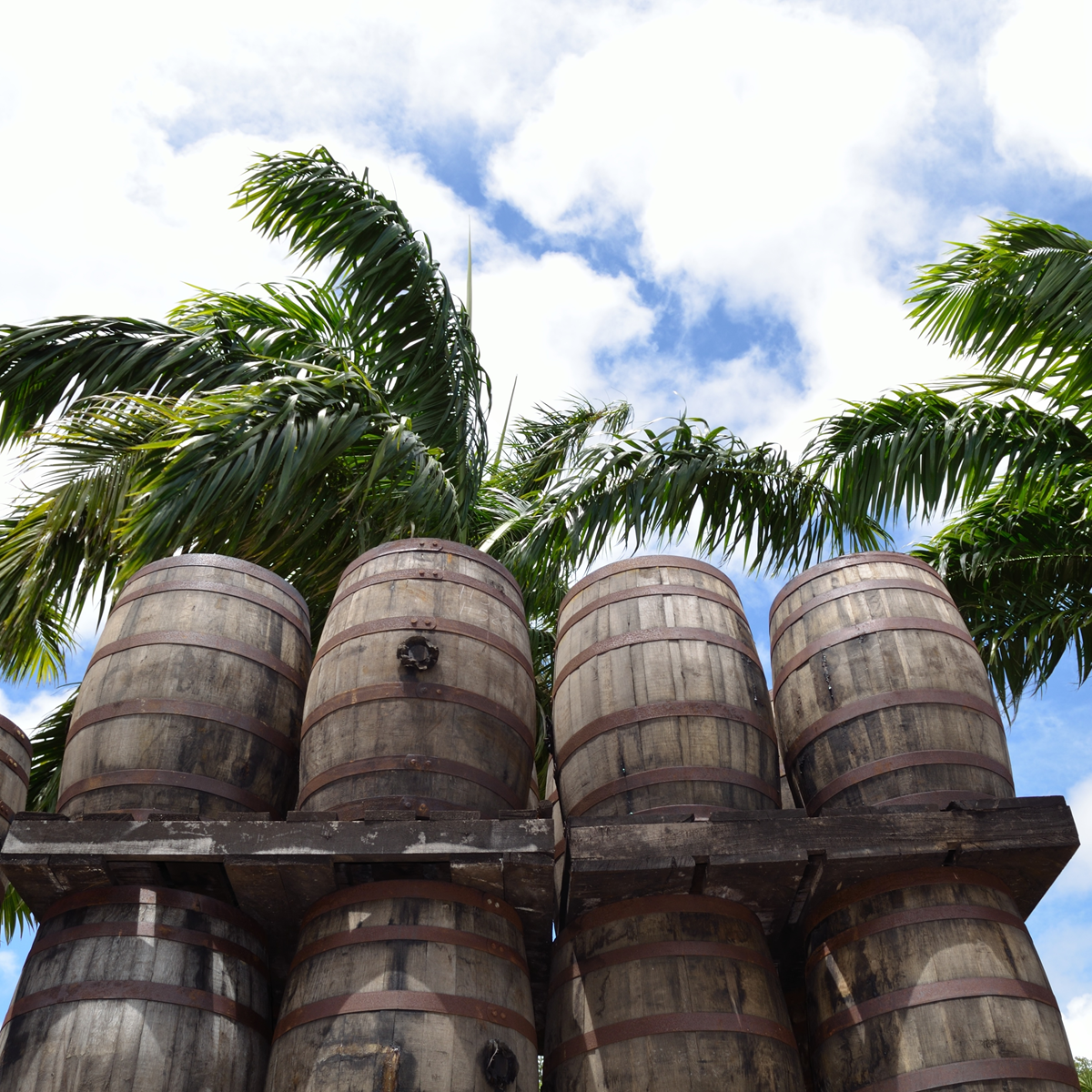 Rum styles, histories, and traditions | Wine & Spirit Education Trust