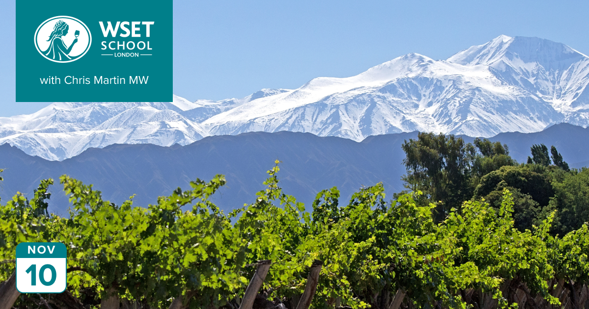 Multifaceted Argentina with Chris Martin MW | Wine tasting at WSET ...
