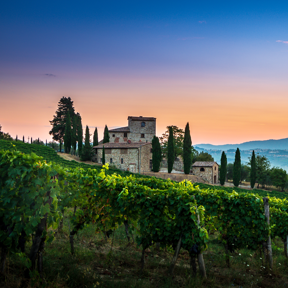 What is a Super Tuscan wine? Guide to Super Tuscans | Wine & Spirit ...