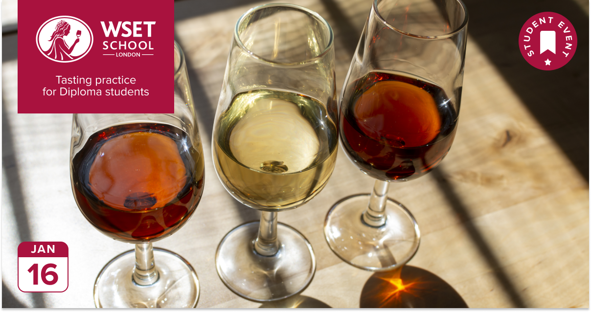 Fortified wines tasting technique workshop for Diploma students | Wine ...