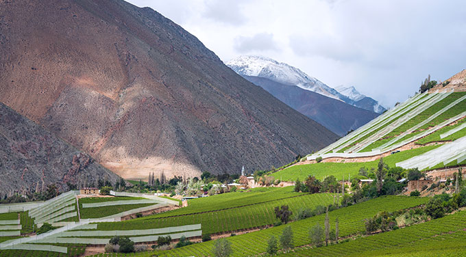 Discover Chile with Lydia Harrison MW (webinar) | Wine & Spirit ...