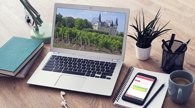 Discover Bordeaux with Lydia Harrison MW (webinar) | Wine & Spirit ...